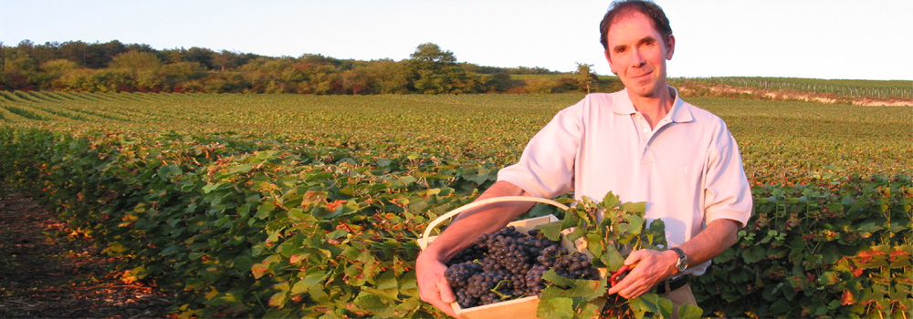 Côte des Bar – Champagne Daniel Perrin – Tasted4you.be, culinair, wijn ...