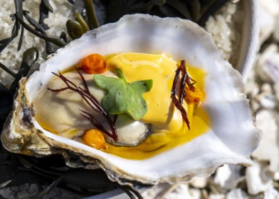 Het Oesterboek – Tasted4you.be, culinair, wijn & toeristisch magazine