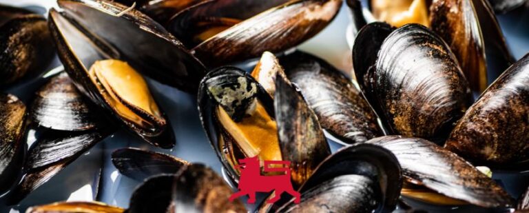 Delhaize voorziet bijna 2.5 miljoen porties mosselen – Tasted4you.be ...